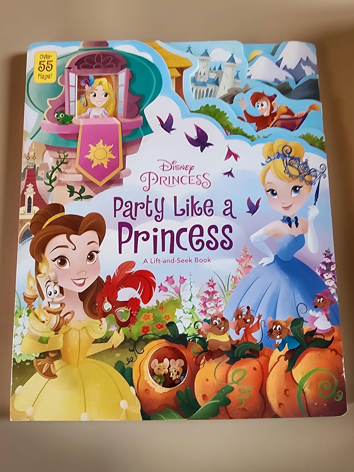 Disney Princess: Party Like a Princess: A Lift-and-Seek Book (Lift-the ...
