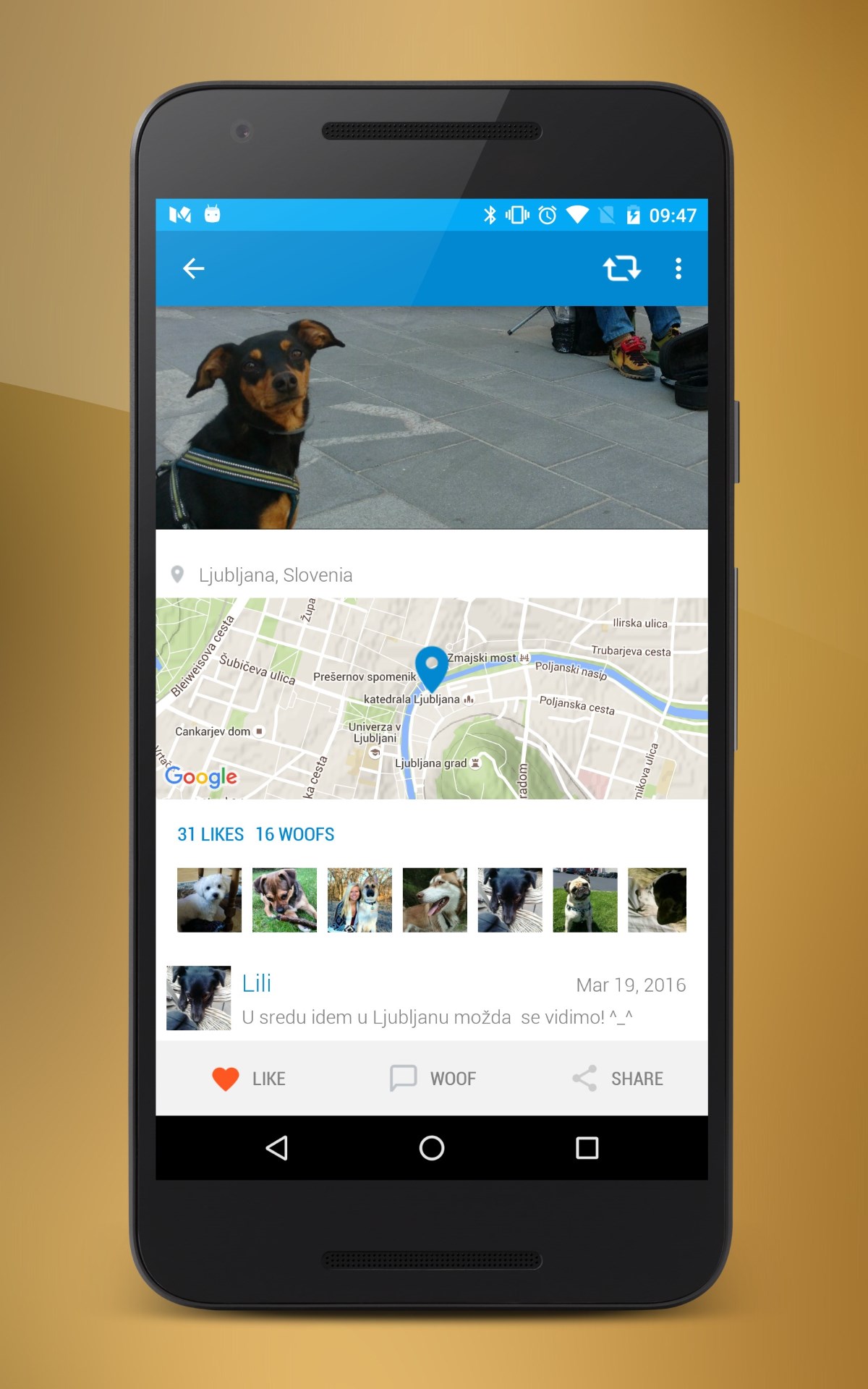 Mookie - Dog Diary - App on Amazon Appstore