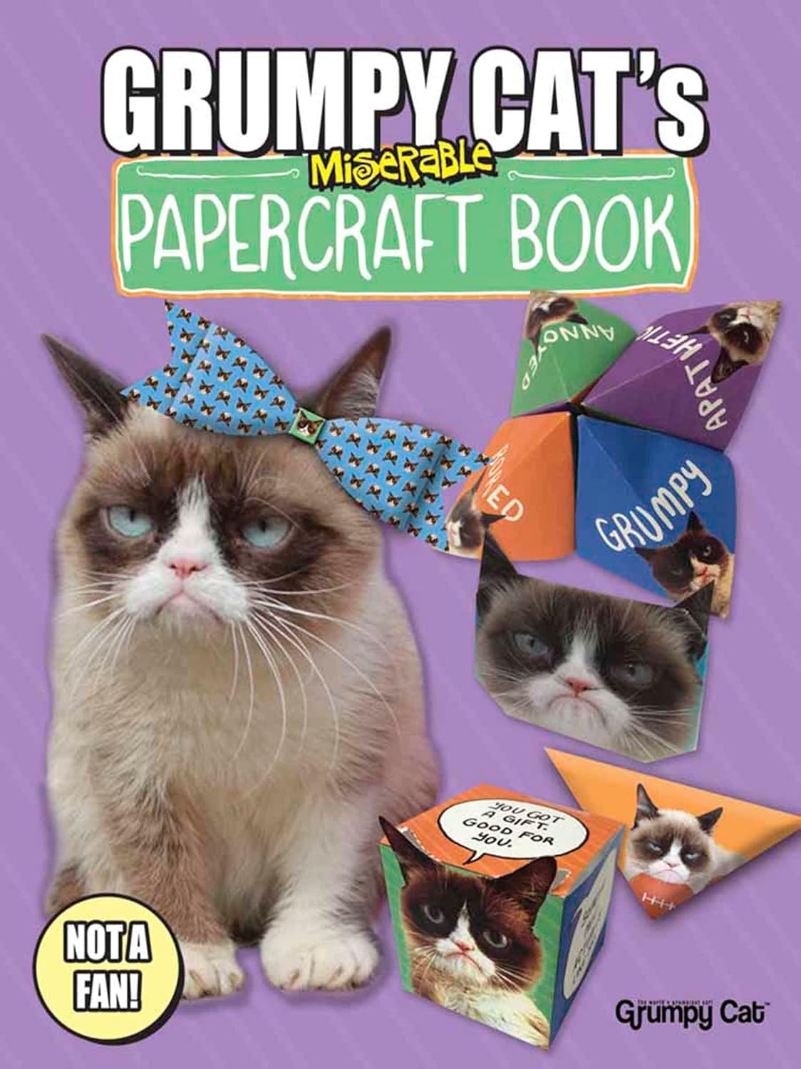 Grumpy Cat's Miserable Papercraft Book (Dover Kids Activity Books ...