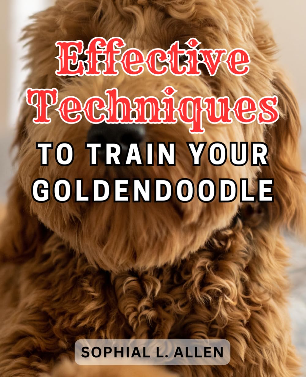 Effective Techniques to Train Your Goldendoodle: The Essential ...