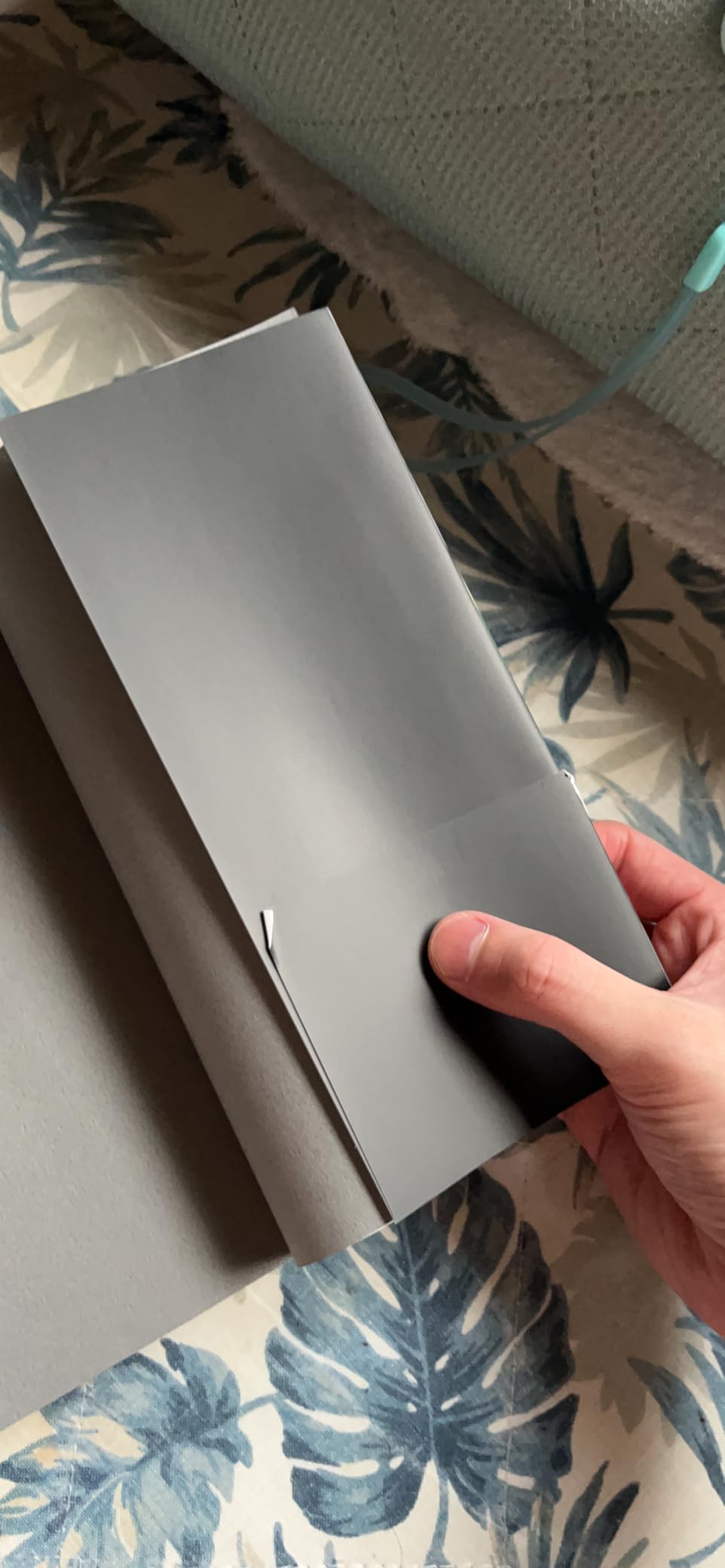 Pilgrim | ReoNa |本 | 通販 | Amazon