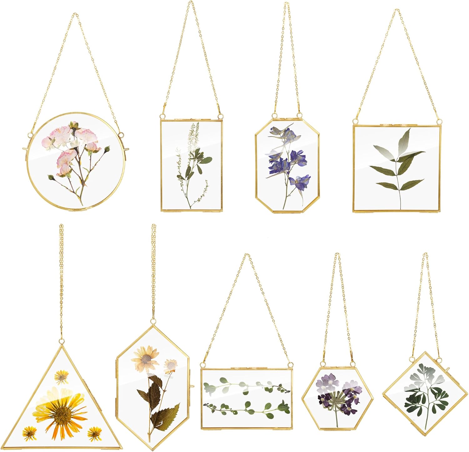 Amazon.com - uyoyous 9 Pieces Pressed Flower Glass Picture Frames Brass ...