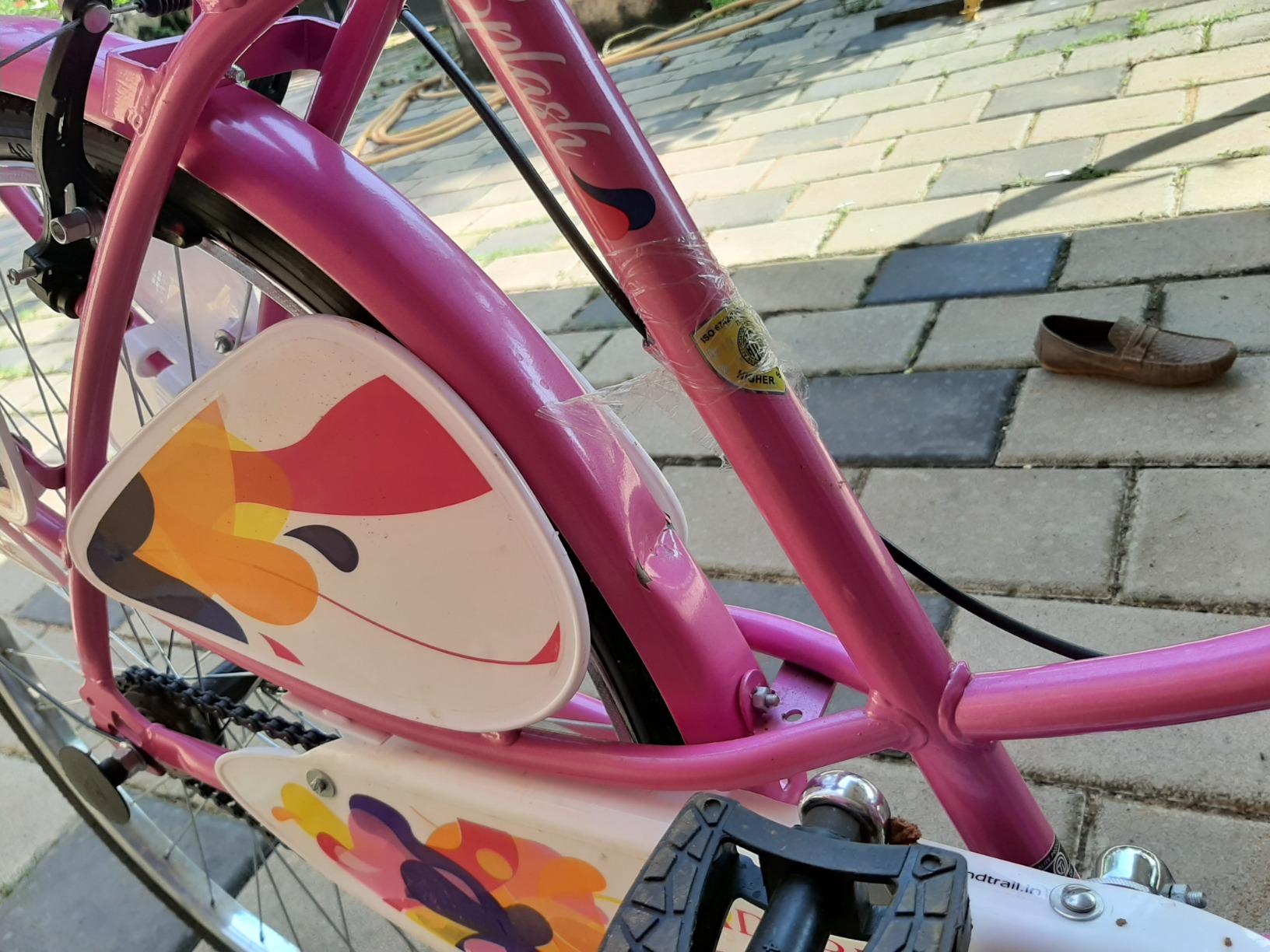 Buy BSA Ladybird Splash Thin Tyre, 26 In Wheel Size, Steel Frame 19 In ...