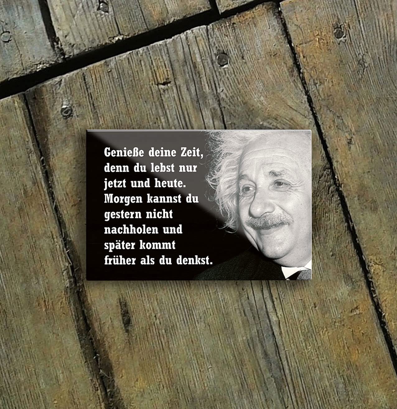 Albert Einstein Inchinn I Jar The Strange Story Of Einstein's Brain