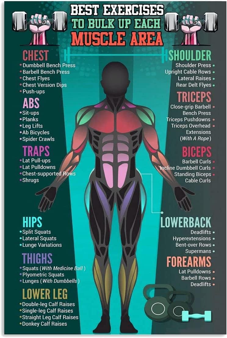 Amazon.com: Muscle Building Knowledge Metal Tin Signs Best Exercises To ...