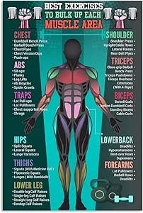 Amazon.com: Muscle Building Knowledge Metal Tin Signs Best Exercises To ...