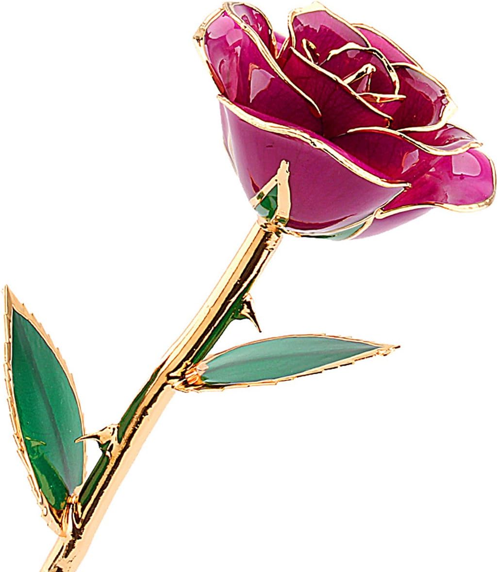 Amazon.com: zjchao Budding 24K Purple Rose Gifts for Her, Eternity Love ...