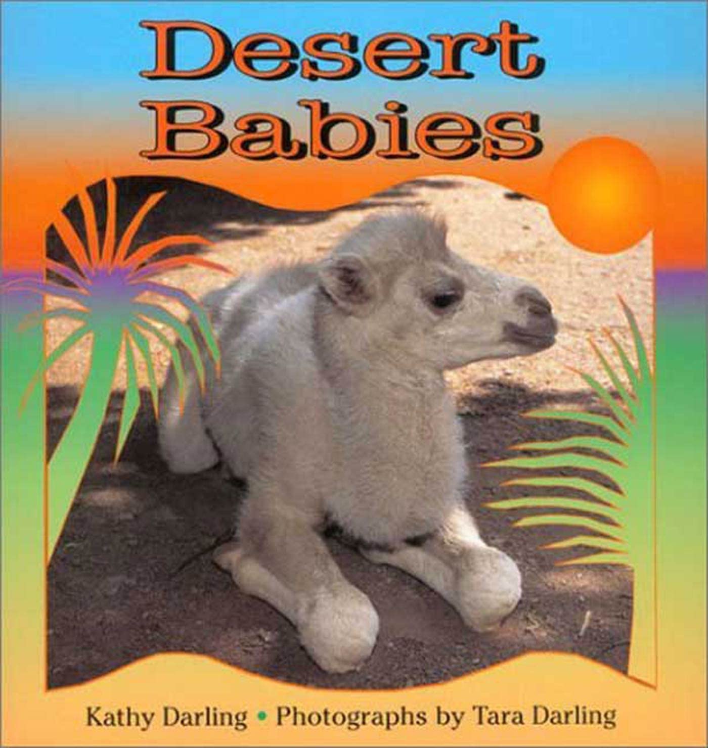 Desert Babies: Darling, Kathy, Darling, Tara: 9780802775337: Amazon.com ...