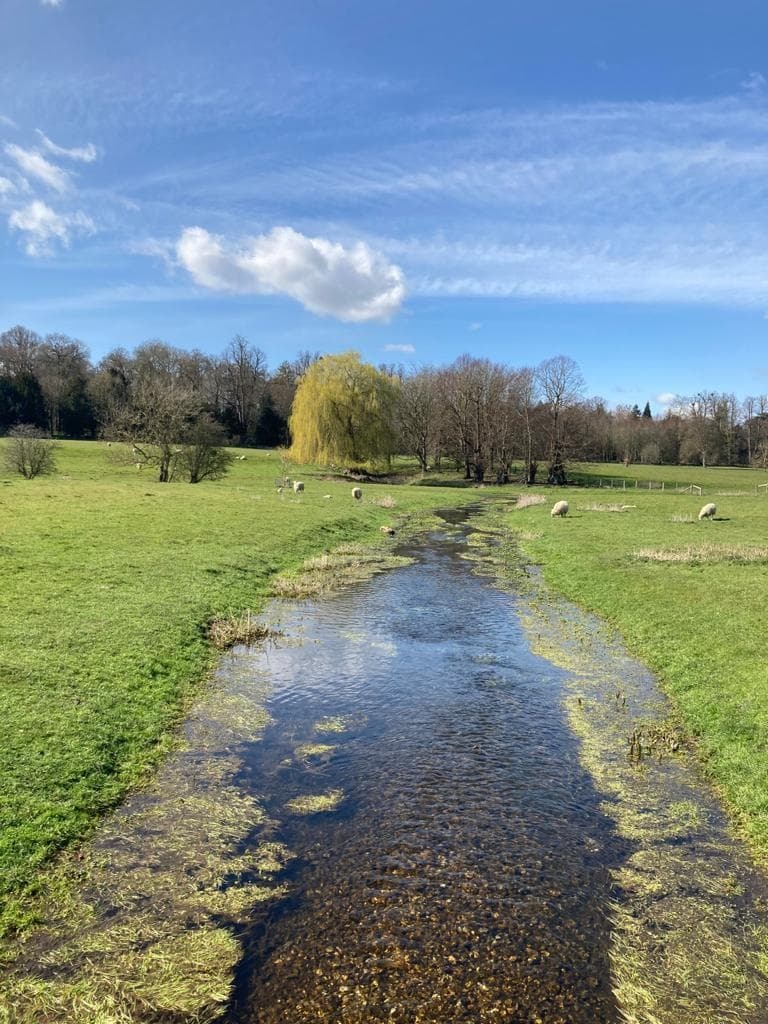 Kent Pathfinder Walking Guide | Ordnance Survey | Pathfinder 8 | 28 ...