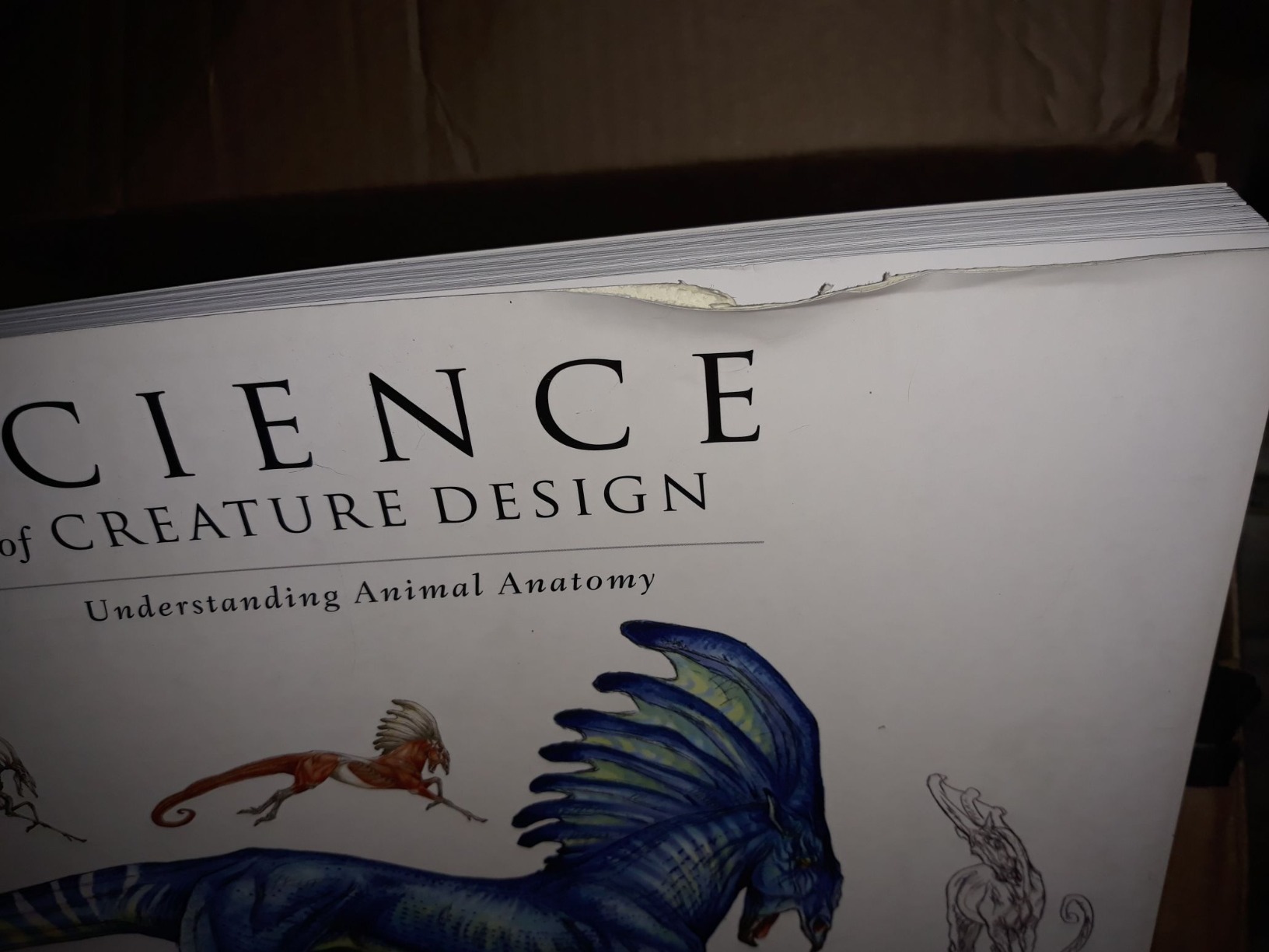Science of Creature Design: understanding animal anatomy: Whitlatch ...