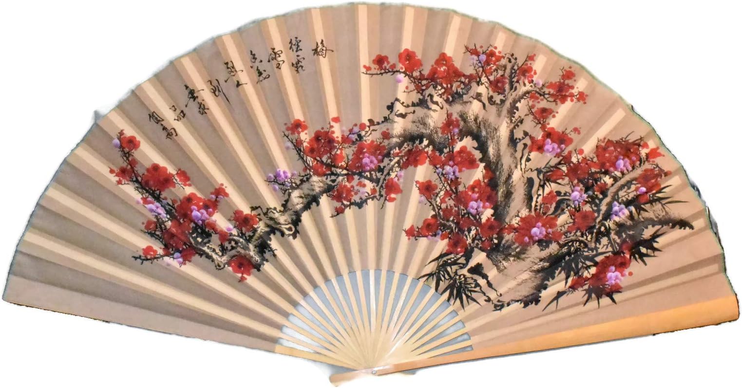 Amazon.com: 35" Oriental Feng Shui Wall Fan-Pink Plum Blossom : Home ...