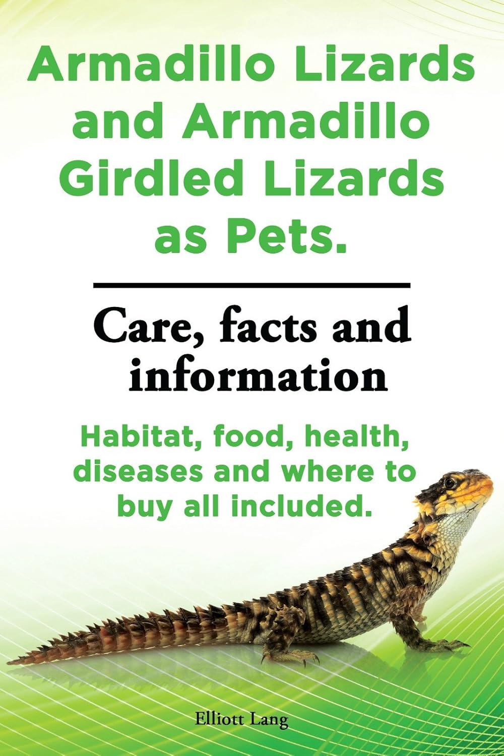 Armadillo Lizards and Armadillo Girdled Lizards as Pets. Armadillo ...