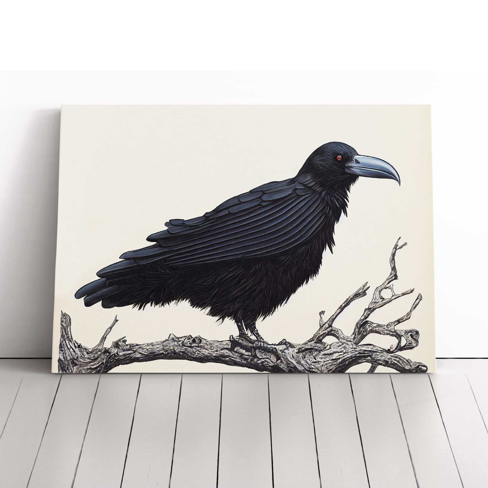How To Draw A Raven Bird White Raven Drawings | Fine Art America