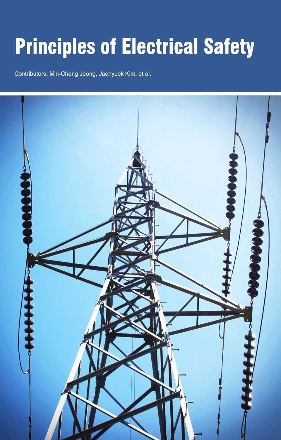 Principles of Electrical Safety: Jaehyuck Kim et al. Contributors: Min ...