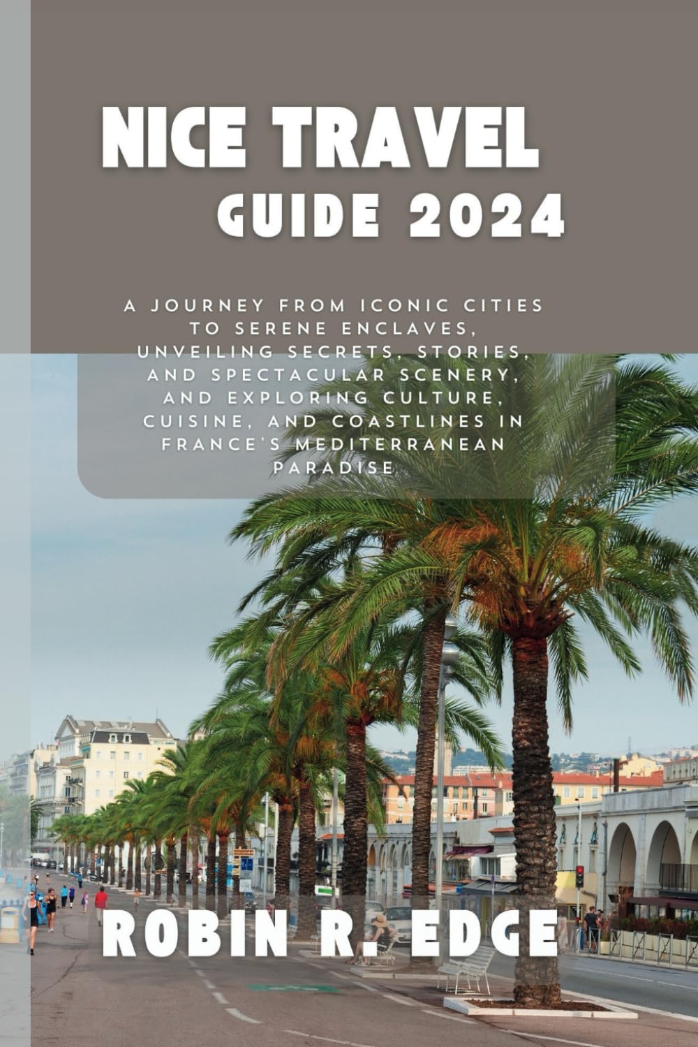 Nice France Travel Guide Ciera Design Studio