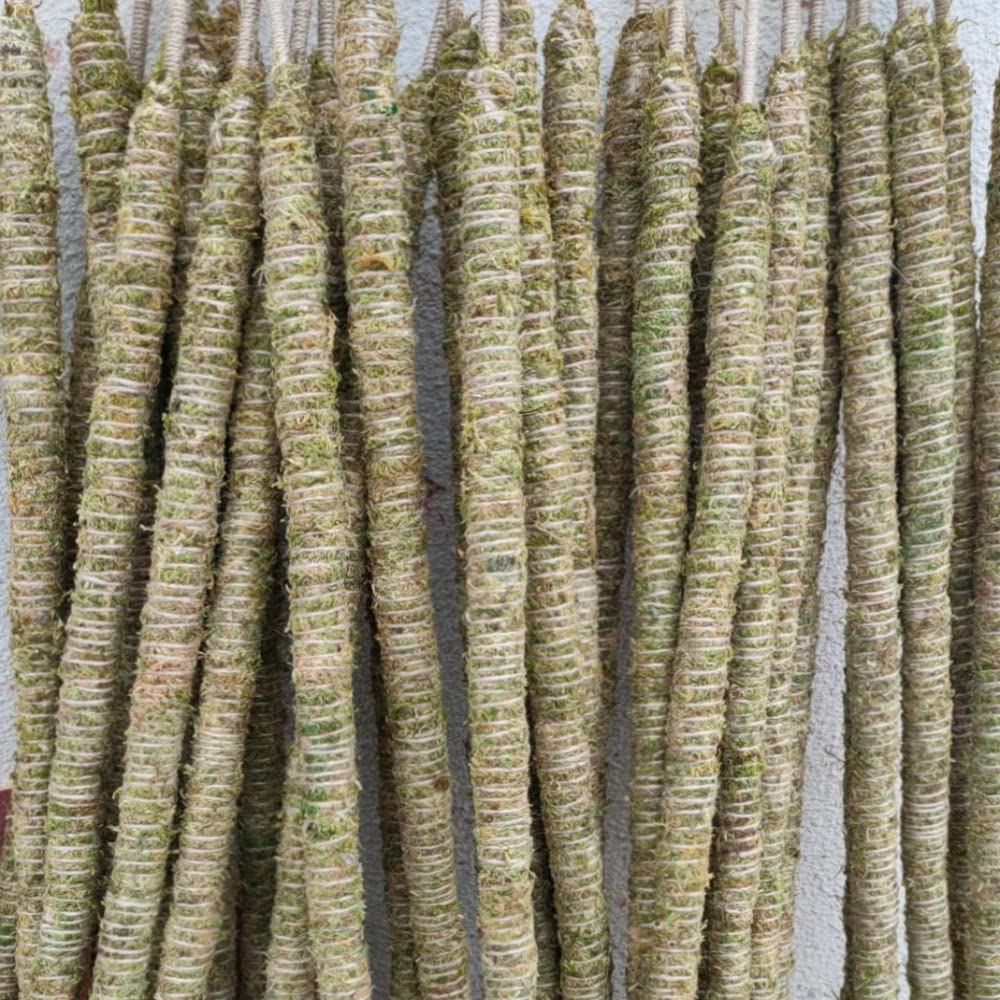 Natural Bendable Froest Moss Pole with Enviroment Friendly,DIY Plant ...
