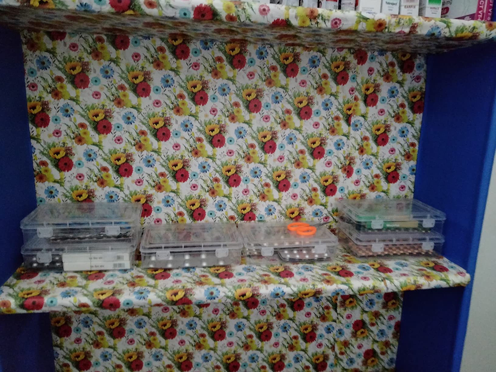 Feliz Clear Plastic Medium Storage Boxes Set of 6 (Size 7.25 x 4.75 x 1 ...