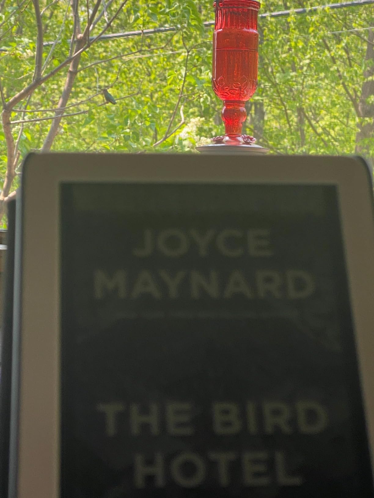 Amazon.com: Bird Hotel: A Novel: 9781956763737: Maynard, Joyce: Books