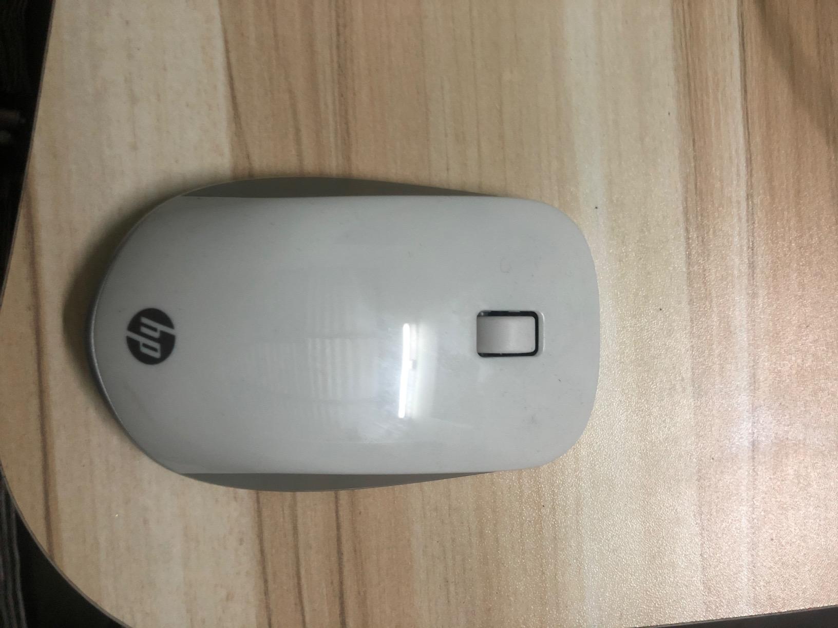 Amazon.in: Buy HP Z5000 Bluetooth Wireless Mouse (White) Online at Low ...