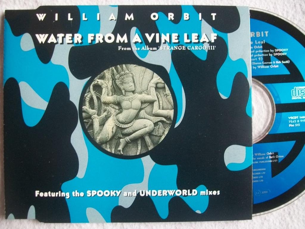 WILLIAM ORBIT Water From a Vine Leaf CD - Amazon.com Music