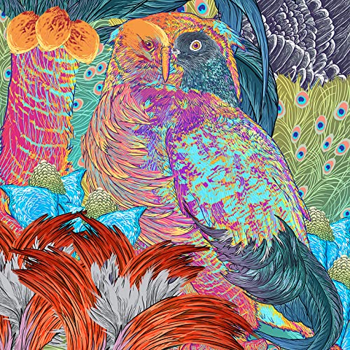 Écouter maria par Bird. sur Amazon Music Unlimited