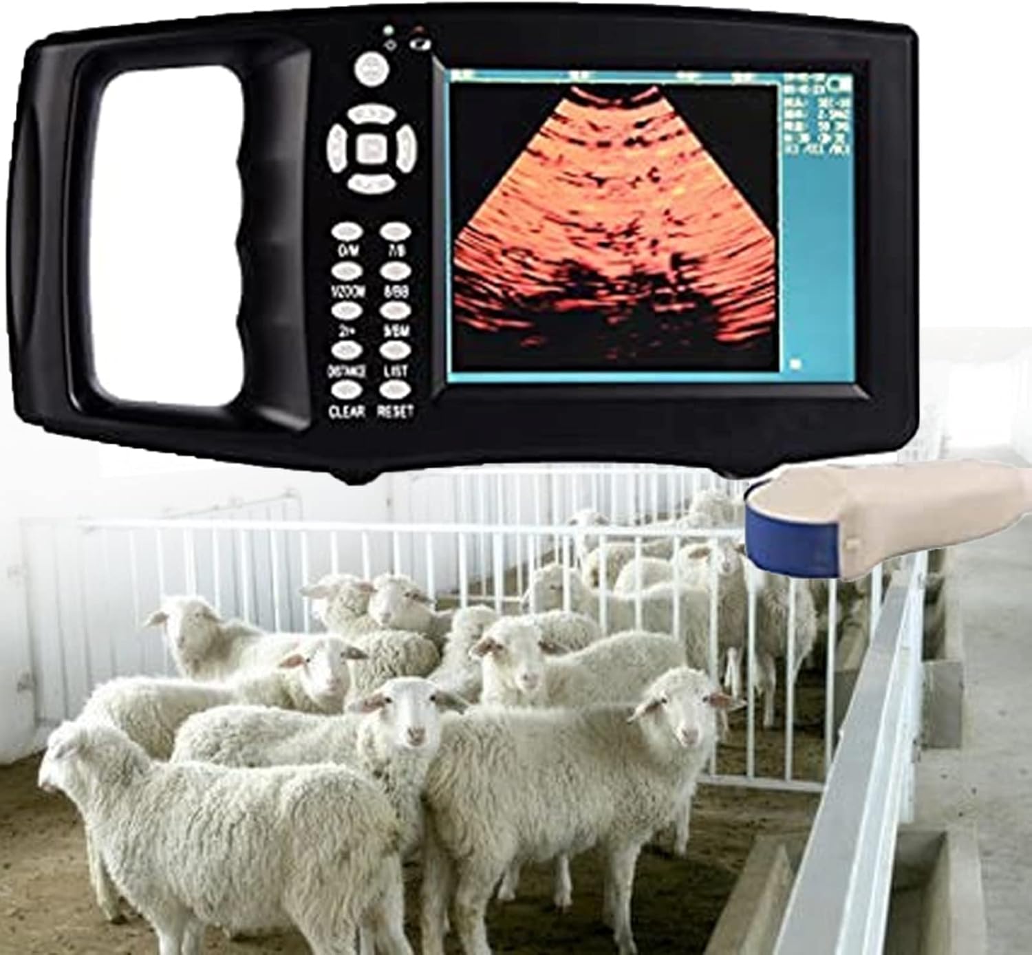 Animal Portable Scanner, Pig Sheep Pregnancy Tester with 4 Kinds Of ...