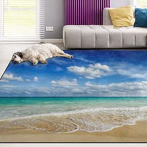 Amazon.com: Naanle Ocean Area Rug 3'x5', Caribean Beach Sea Waves ...