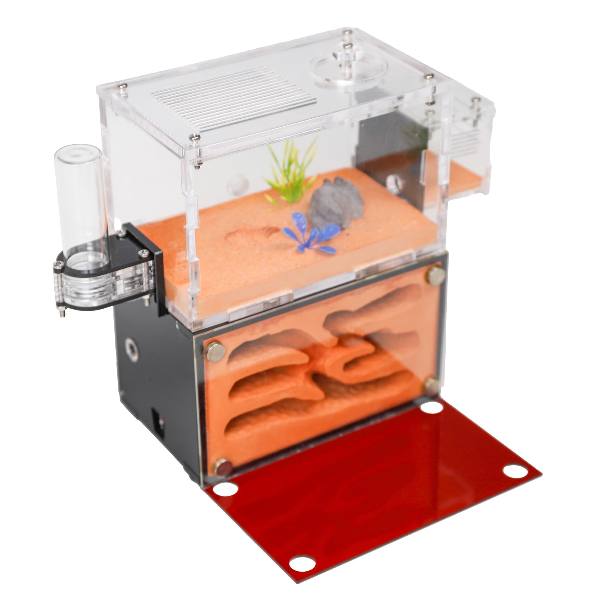 Snapklik.com : Ant Farm House For Adults - Two Floor Formicarium For ...