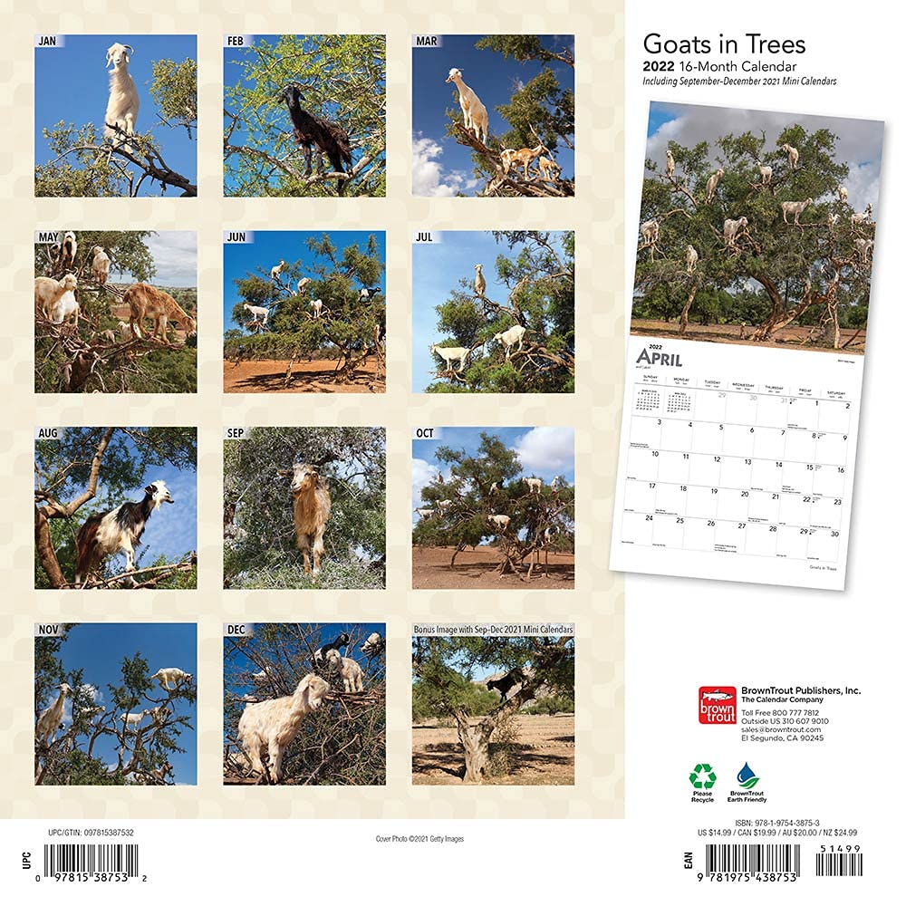 Goats In Trees Calendar 2022