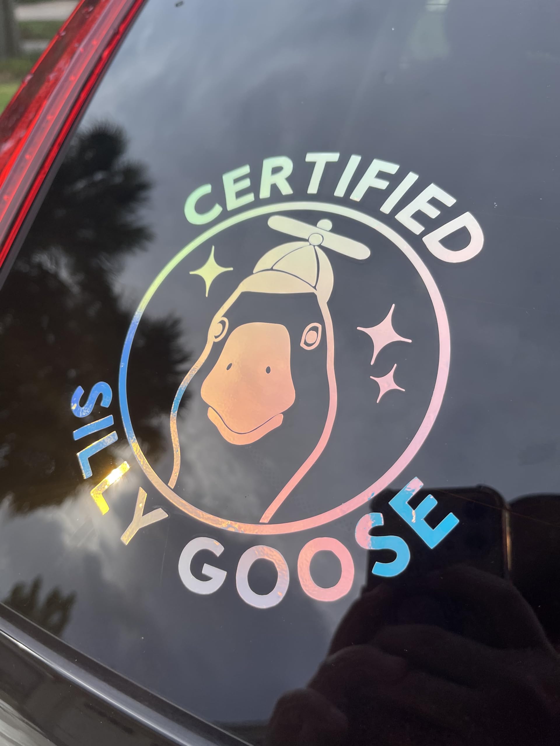 Snapklik.com : Certified Silly Goose On Board Holographic Bumper Car ...