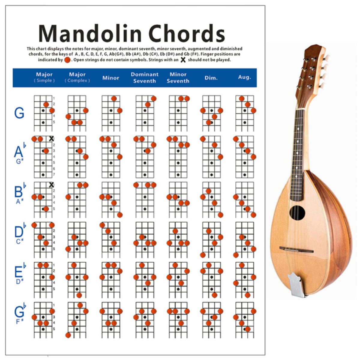 Buy MILISTEN Mandolin Cord Chart Essential Practice Chart Large Size ...