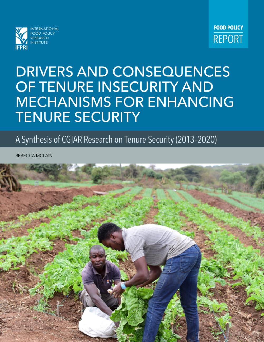 Amazon.com: Drivers and consequences of tenure insecurity and ...