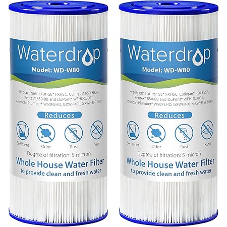 Amazon.com: PUREPLUS 10" x 4.5" Whole House Pleated Sediment Filter for ...