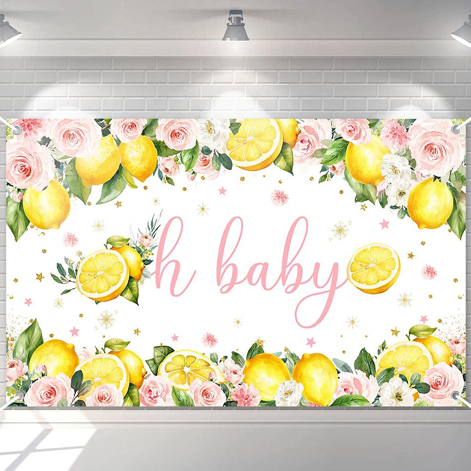 Amazon.com: Avezano Lemon Baby Shower Backdrop Oh Baby Pink Floral ...