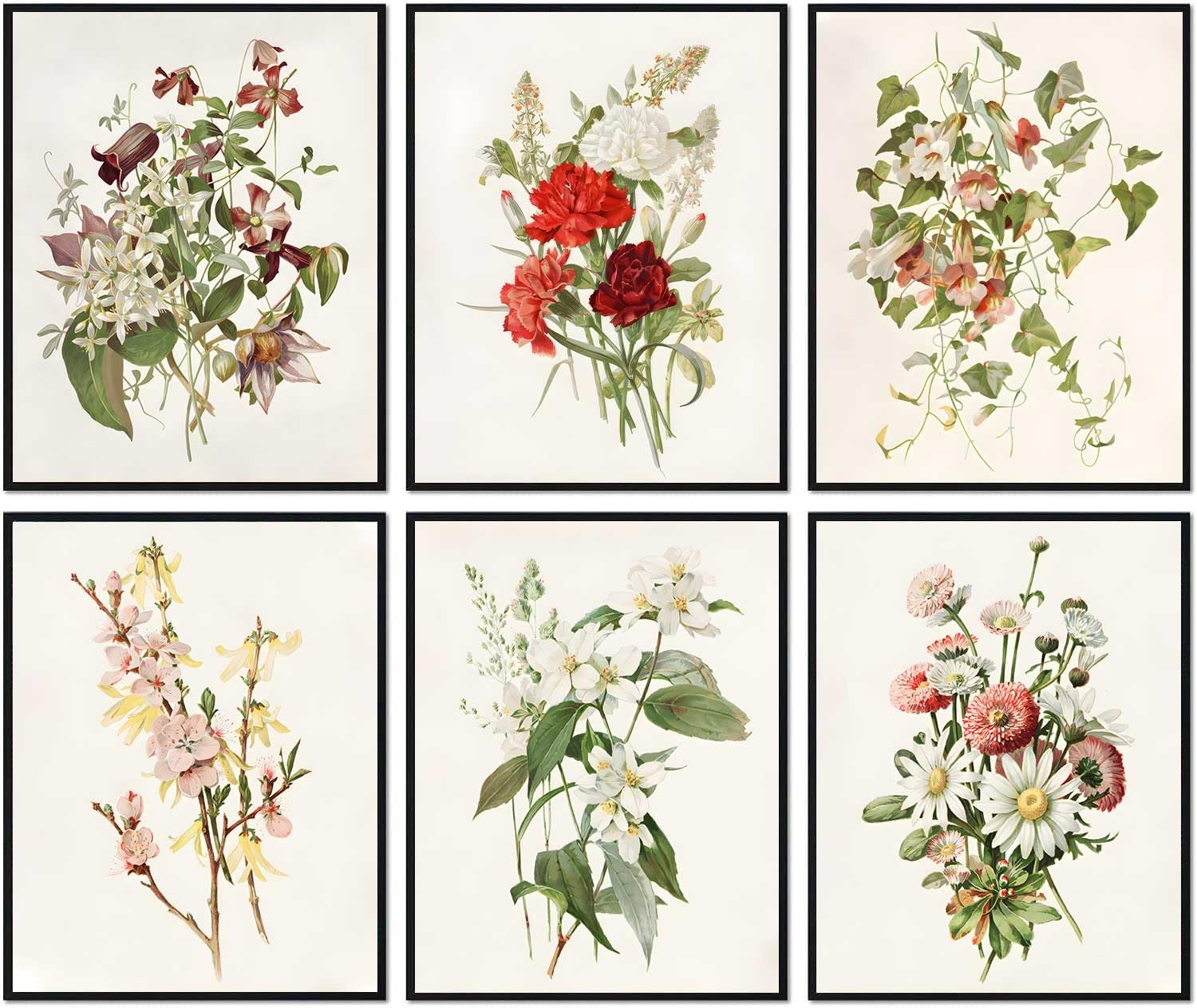 Amazon.com: RCJARTI 6Pcs Vintage Flower Wall Art Prints Minimalist ...