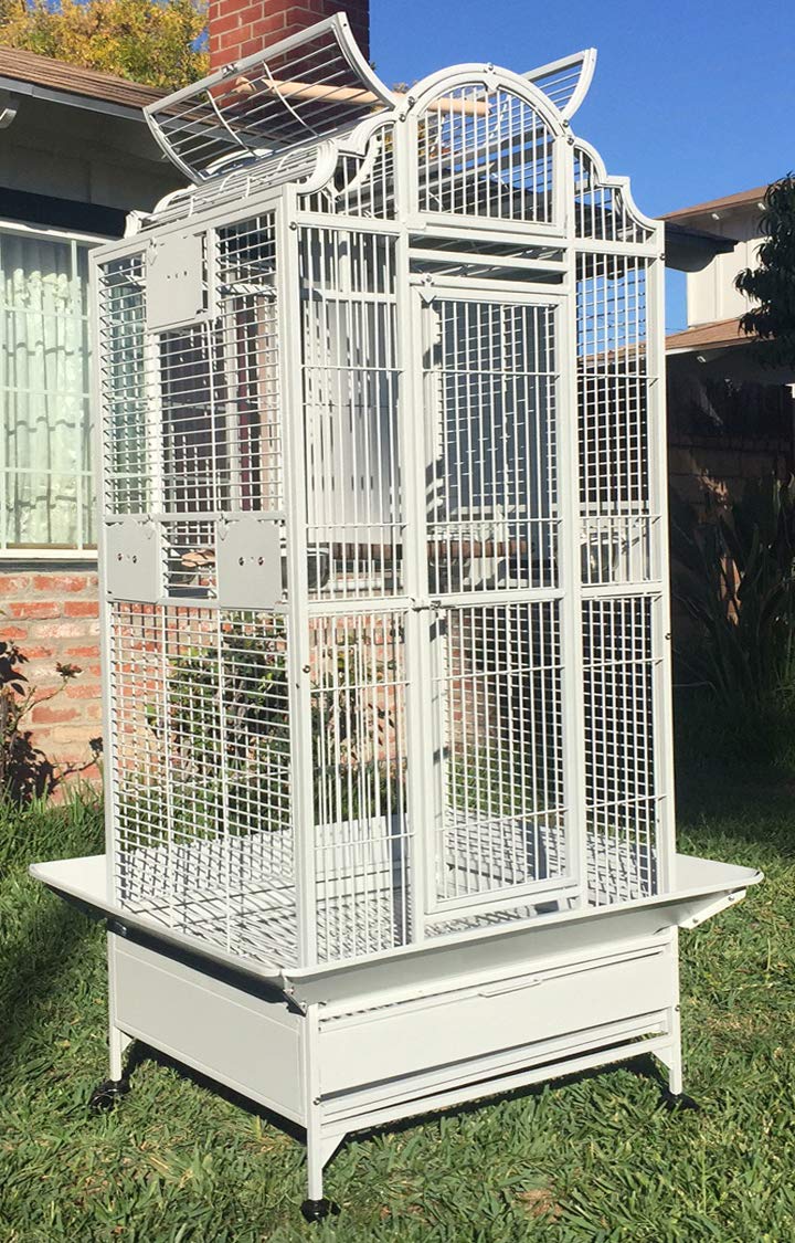 Buy Large Elegant Wrought Iron Open Dome Play Top Bird Parrot Cage ...