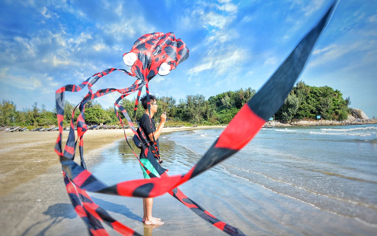 Snapklik.com : Kizh Kite Octopus Large Frameless Soft Parafoil Kites ...