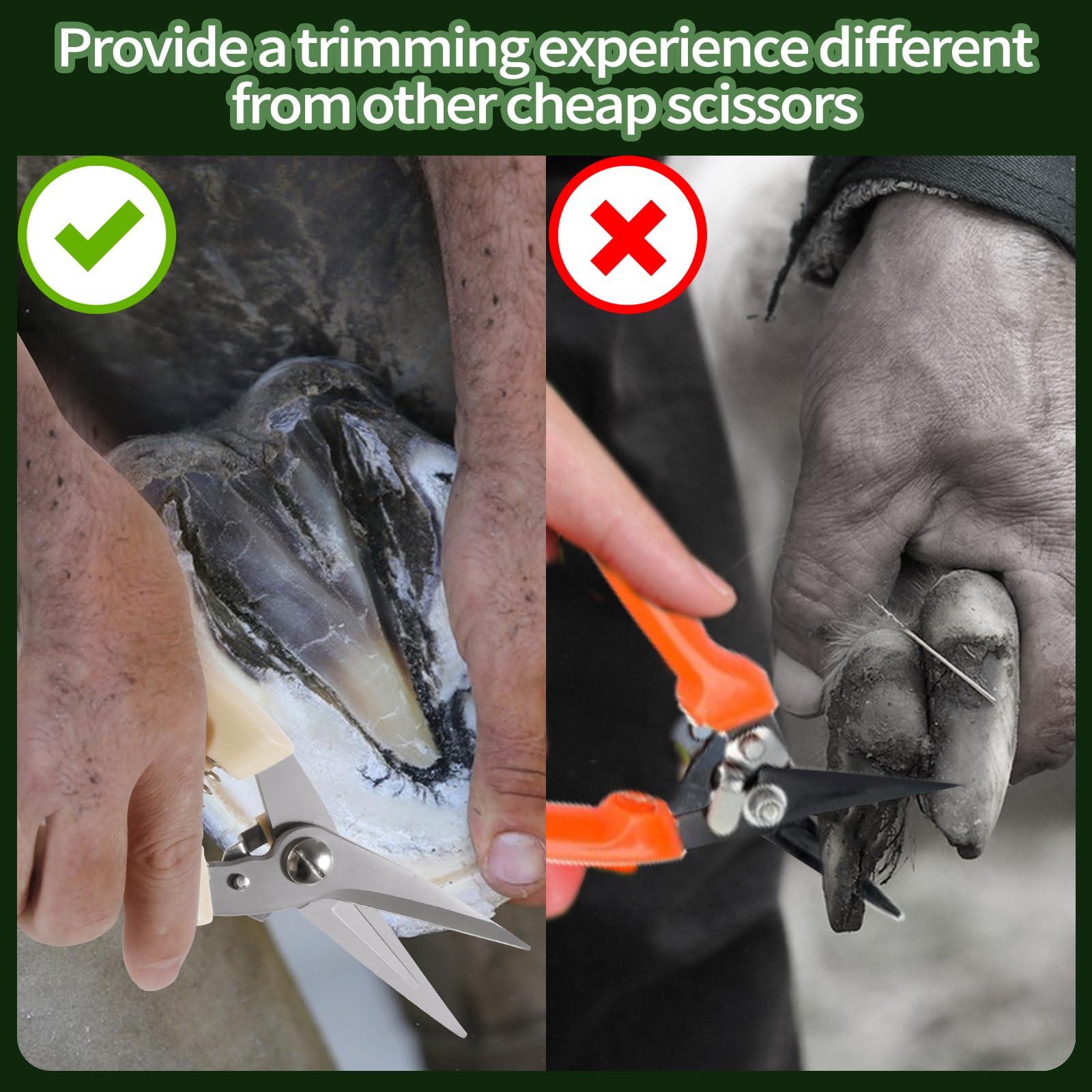 Sheep Hoof Trimmers