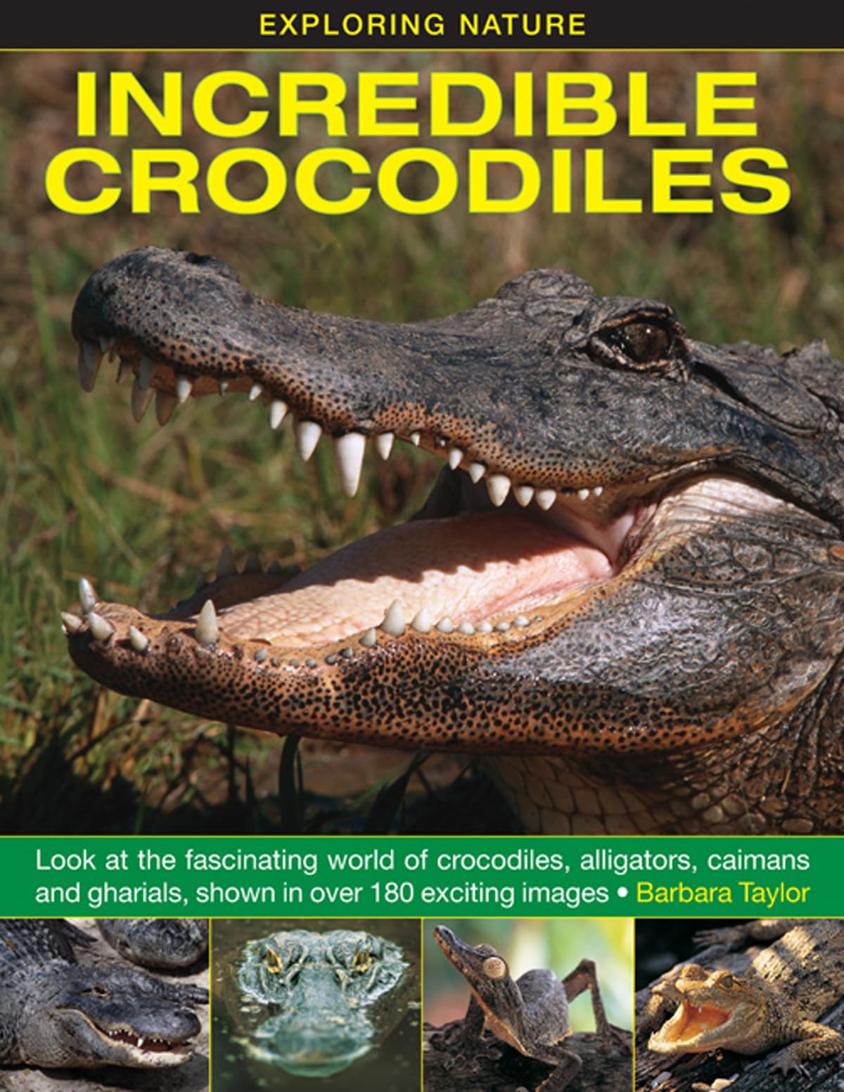 Incredible Crocodiles Look At The Fascinating World Of Crocodiles Alligators | Desertcart INDIA