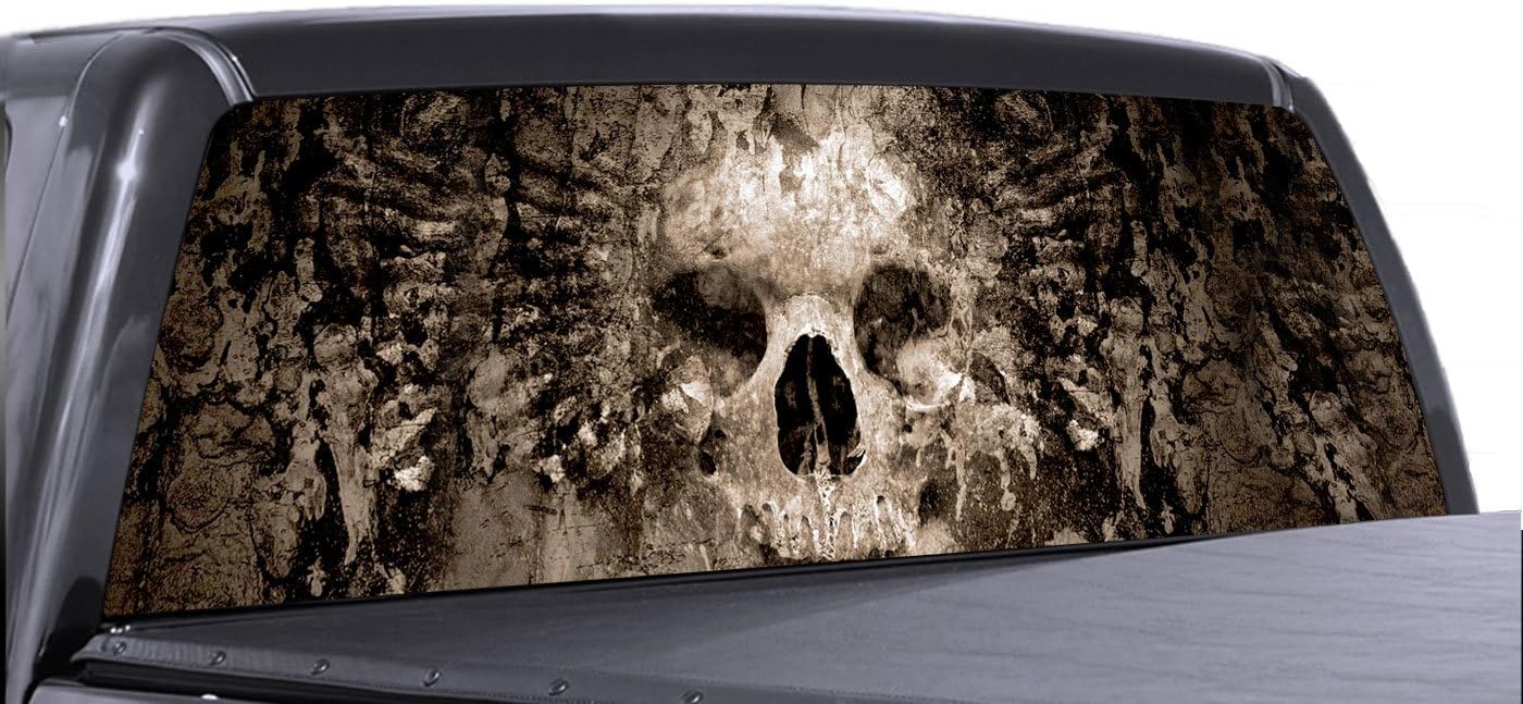 Amazon.com: VuScapes - Petrified Skull - Rear Window Truck Graphic ...
