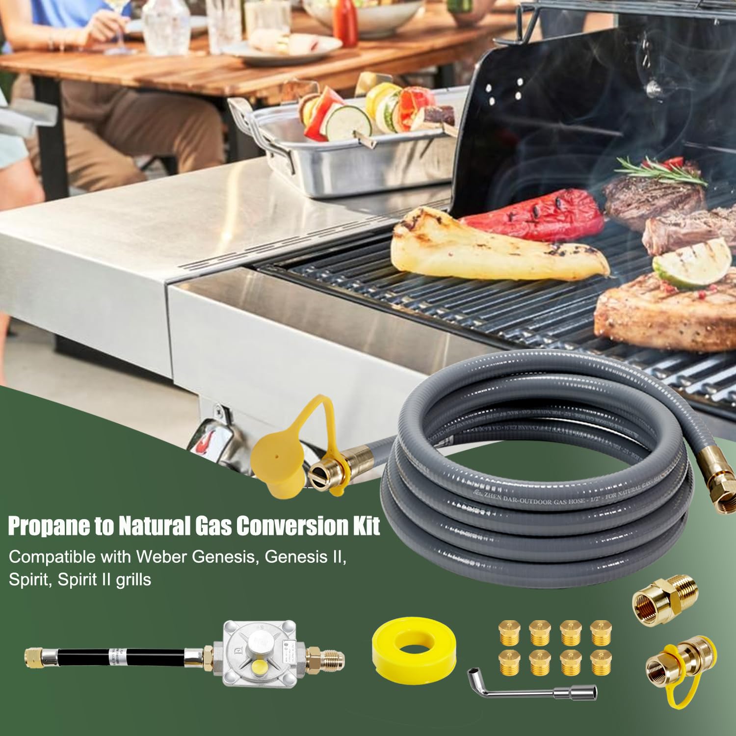Weber Natural Gas To Propane Conversion Kit
