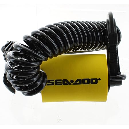 Amazon.com: Sea-Doo New OEM, Anti-Theft Learning Key For DESS Vehicles ...