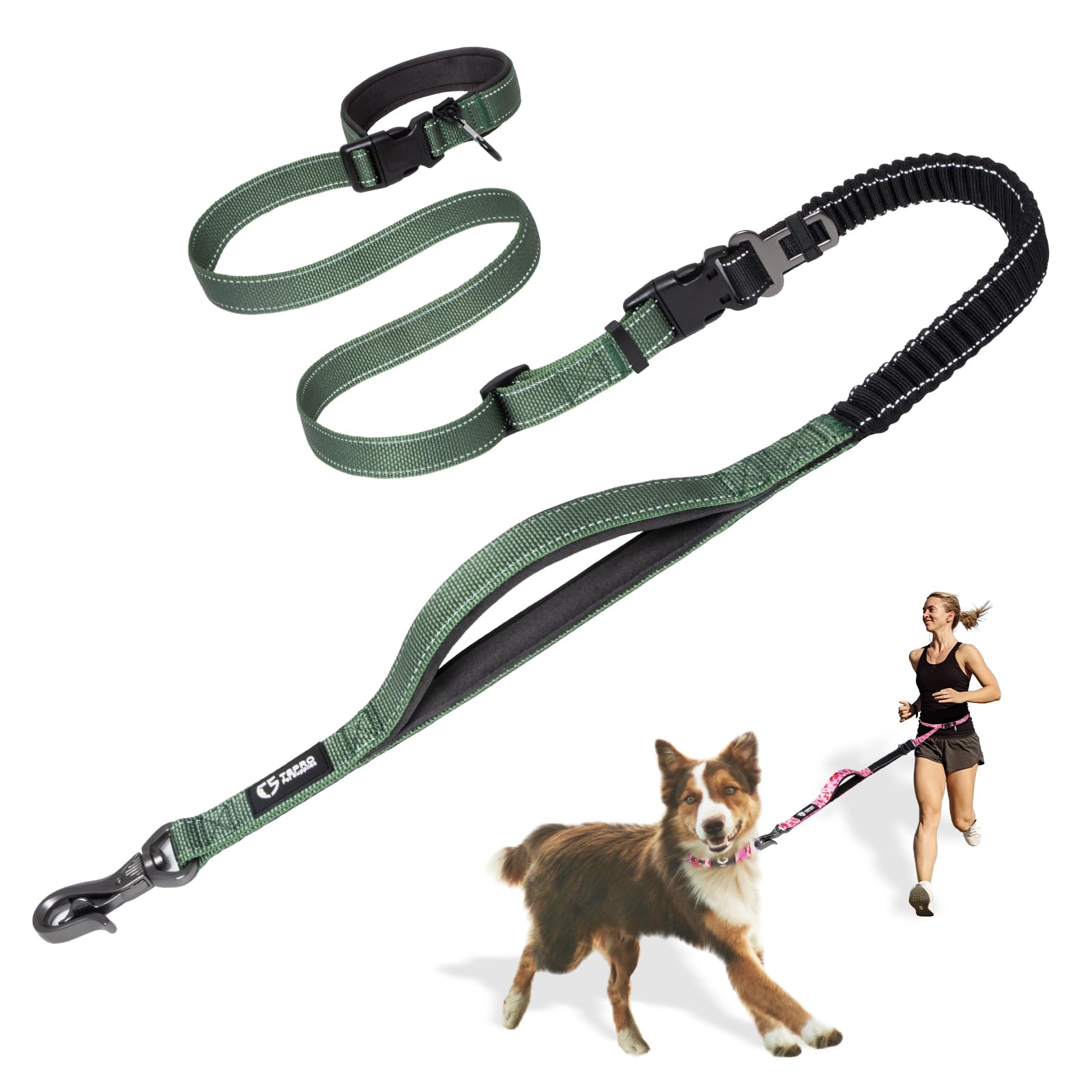 Dog running leash online