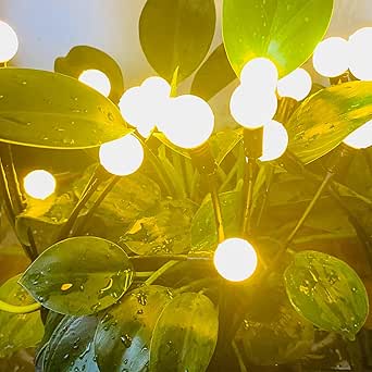 FXK Solar Garden Lights - 2 Pack Solar Firefly Lights Outdoor ...