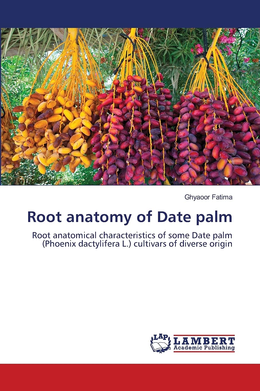 Amazon | Root anatomy of Date palm: Root anatomical characteristics of ...