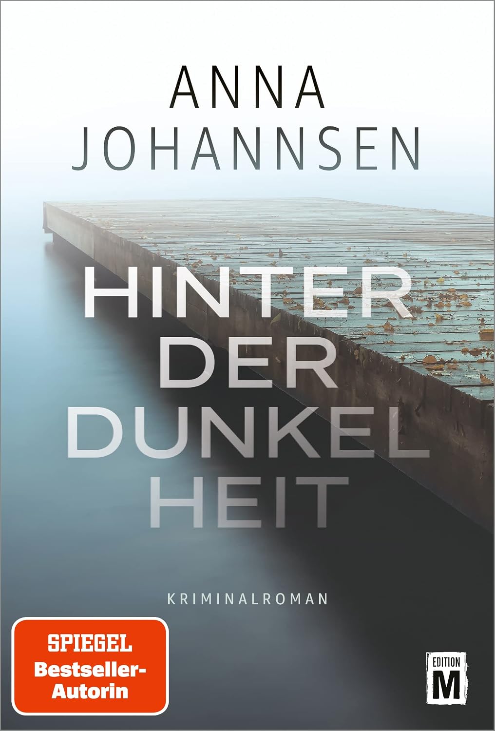 Hinter der Dunkelheit: 1 (Ein Fall für Hanna Will & Jan de Bruyn ...