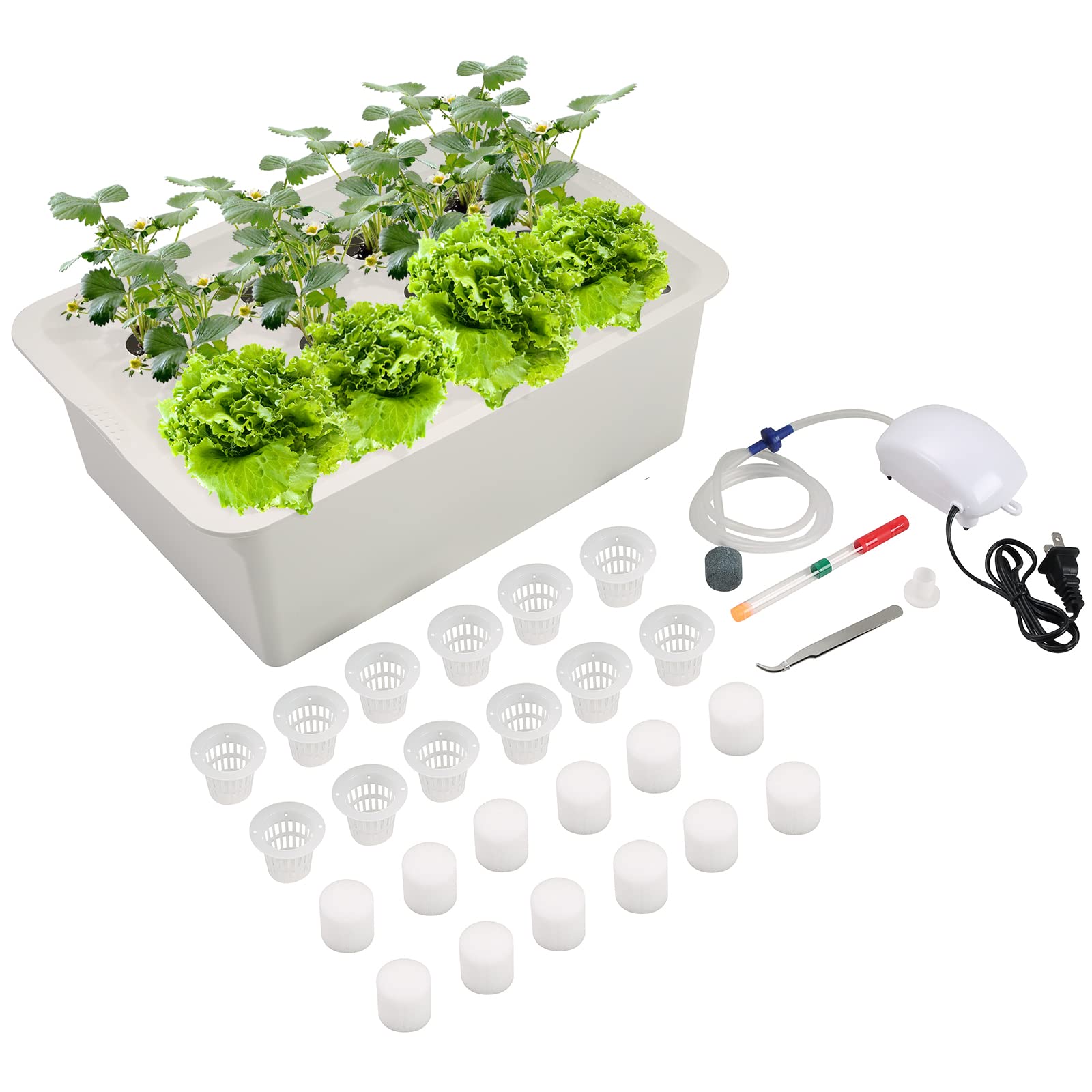 Hydroponic Grow Box Kits Grow Box For Hydroponic System With 24 Holes,