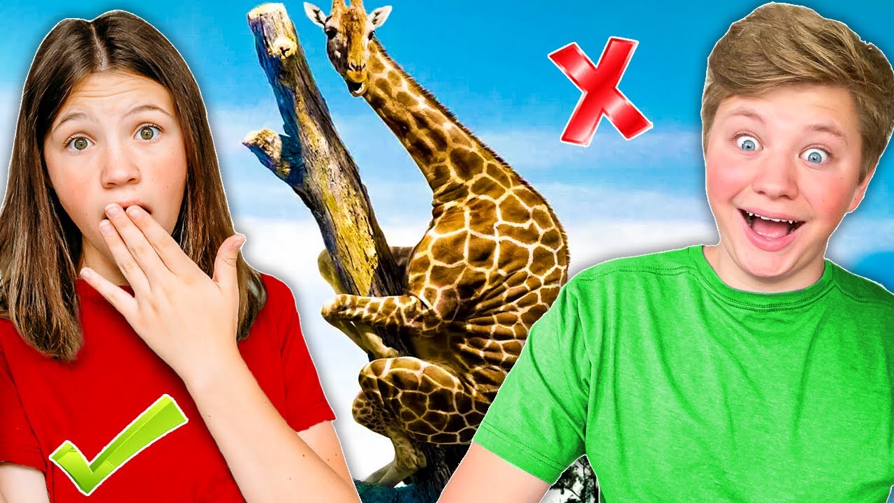 The KJAR Crew - App on Amazon Appstore