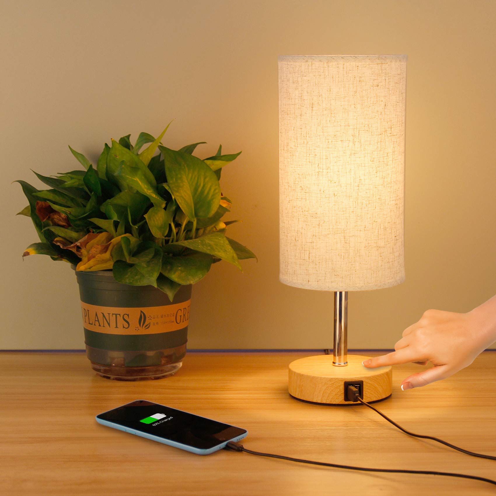tronisky Touch Control Table Lamp, Nightstand Lamp with 2 USB Charging ...