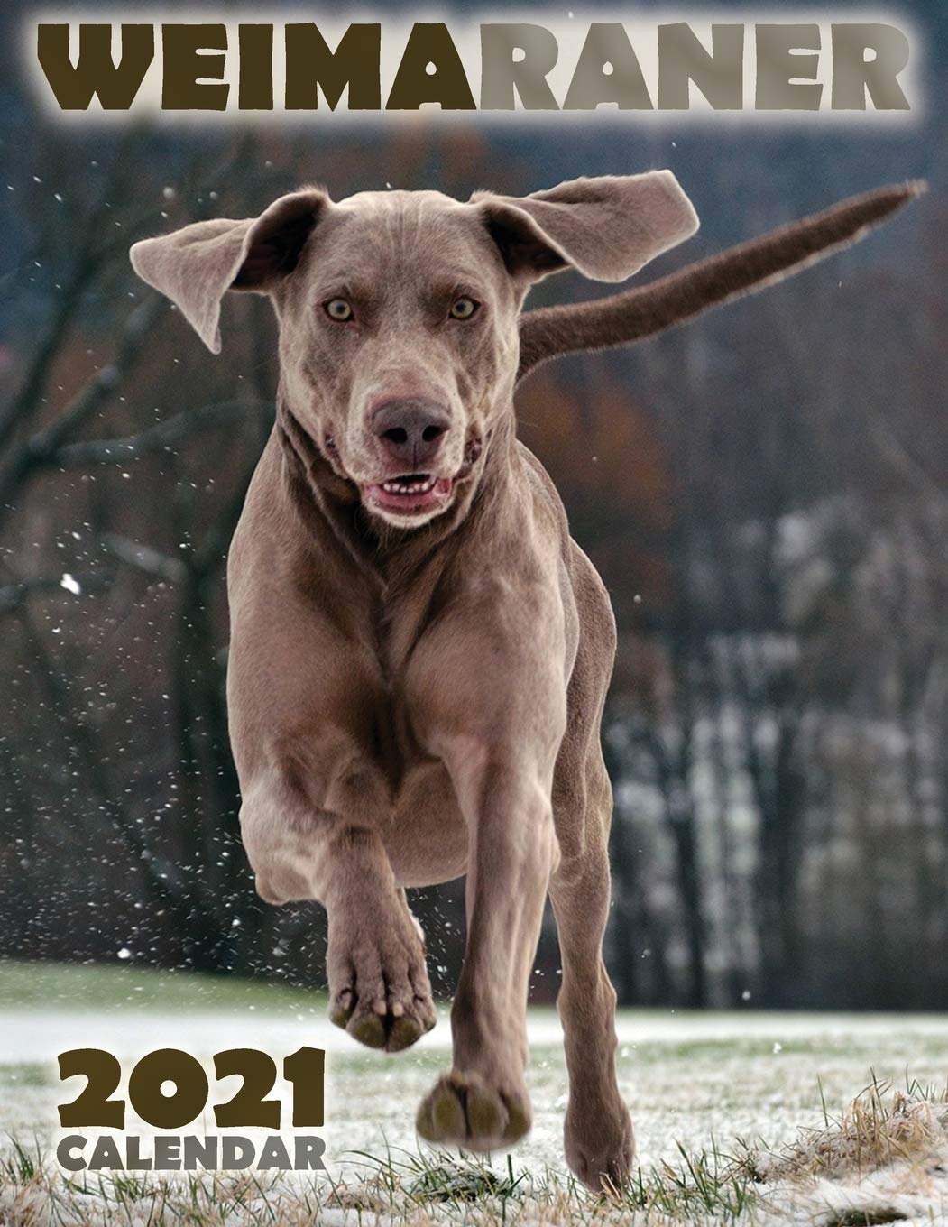 Weimaraner 2021 Calendar: 9781713901075: Amazon.com: Books
